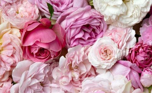 Karl Winters | A Review Of The Types of Scents for Candles | KARL WINTERS